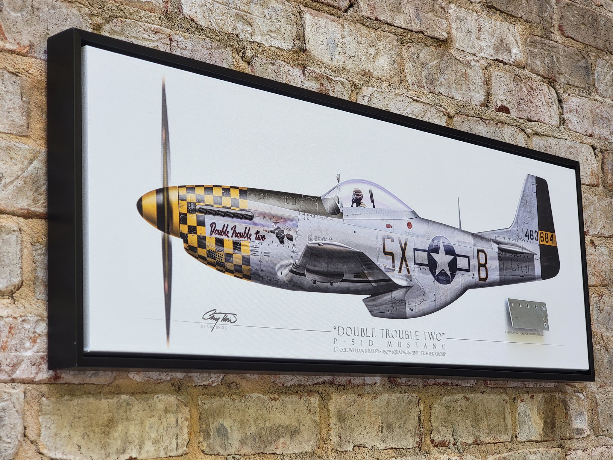 P-51D Mustang "Double Trouble Two" - Profile Canvas | INC: Fuselage Pi ...